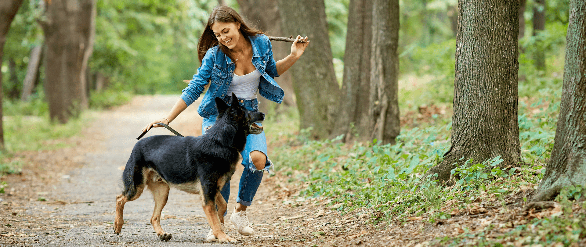 Positive Dog Trainer in the Illawarra - Activate Dog Training